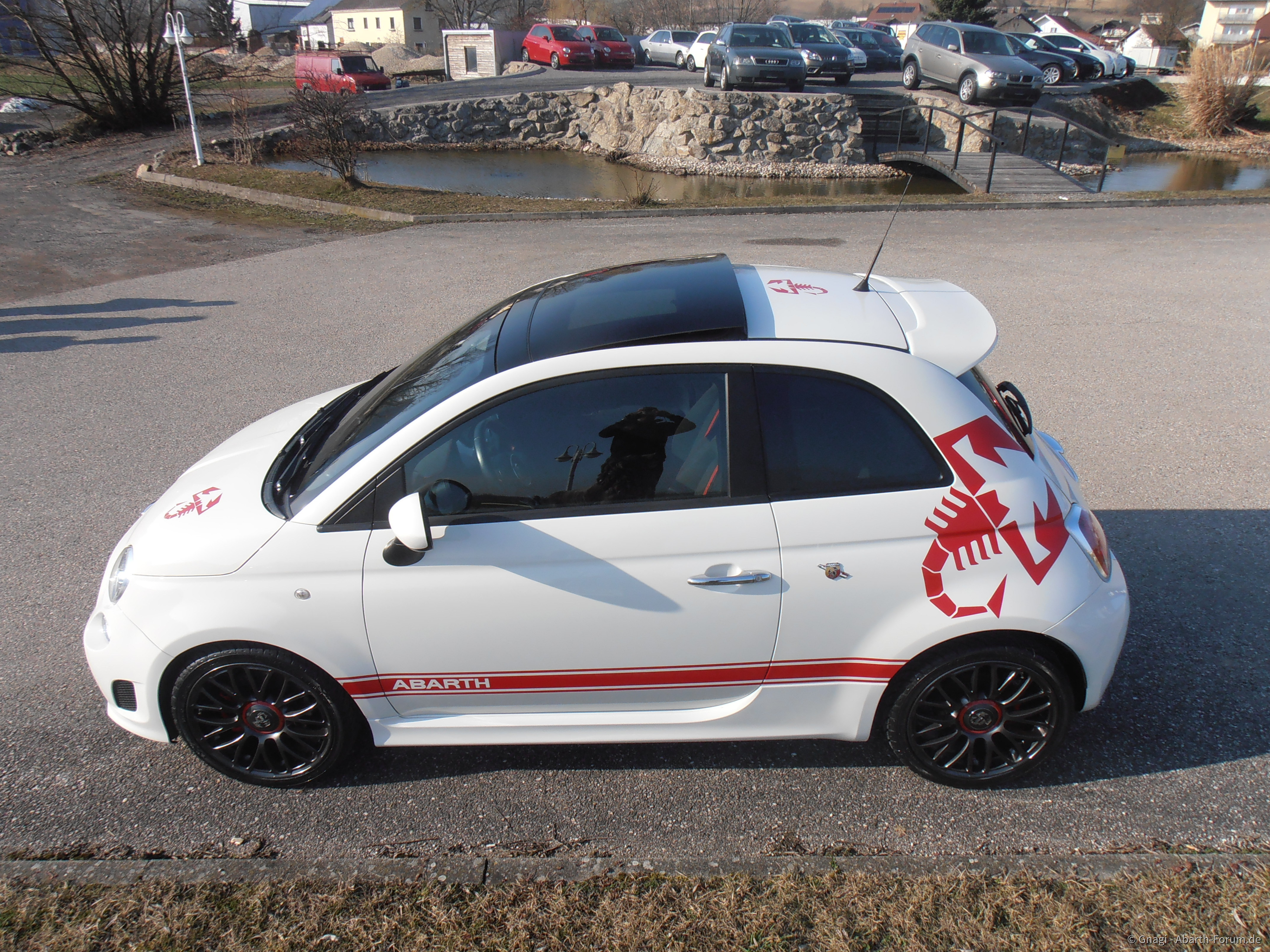 Gnagi`s 500 - Abarth Forum